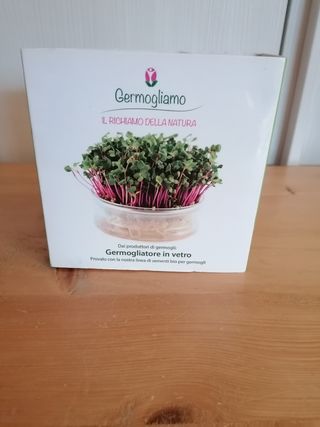 germogliatore in vetro