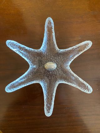 Portaoggetti svuotatasche  stella marina