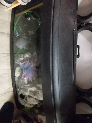acquario 100l