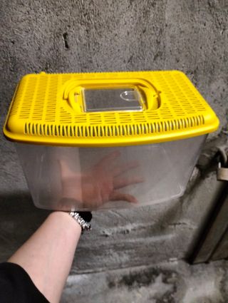 tartarughiera/vasca per pesci in plastica