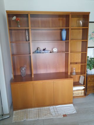 mobile -libreria-porta tv