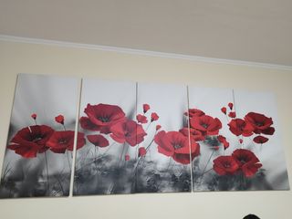 quadro papaveri rossi 