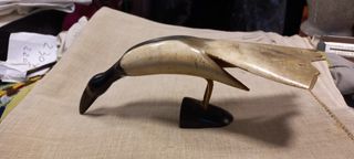 uccello vecchio  scolpito con corno osso euro 20