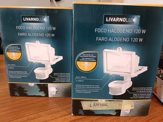 2 fari alogeni con sensore di movimento 