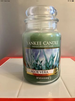 Yankee candle aloe vera