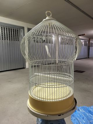 Gabbietta vintage uccellini