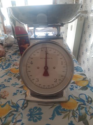 bilancia max 5 kg