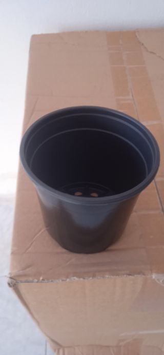 vaso termoformato 540qt.