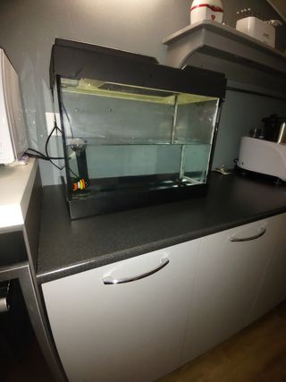 acquario 60 litri solo acquario 
