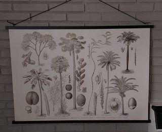STAMPA VINTAGE PALME