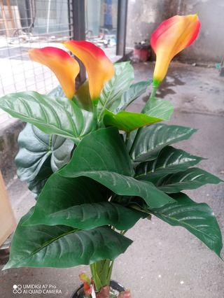 Pianta artificiale con fiori colorati 