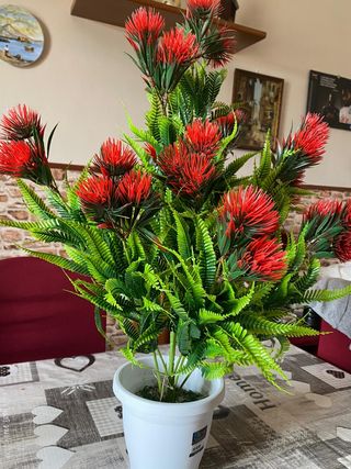 Pianta artificiale con fiori rossi 