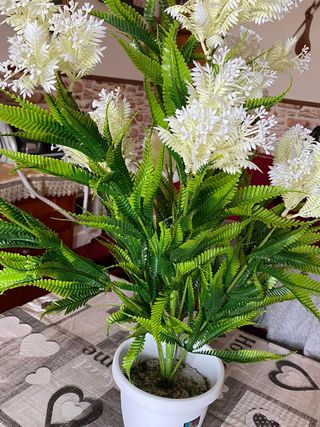 Pianta artificiale con fiori bianchi 