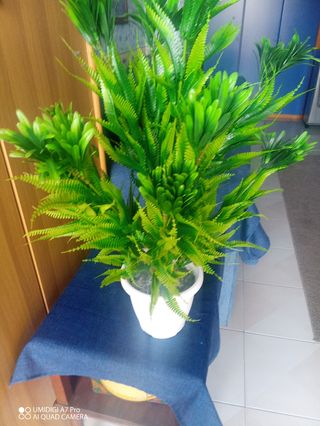 Pianta artificiale tutta verde