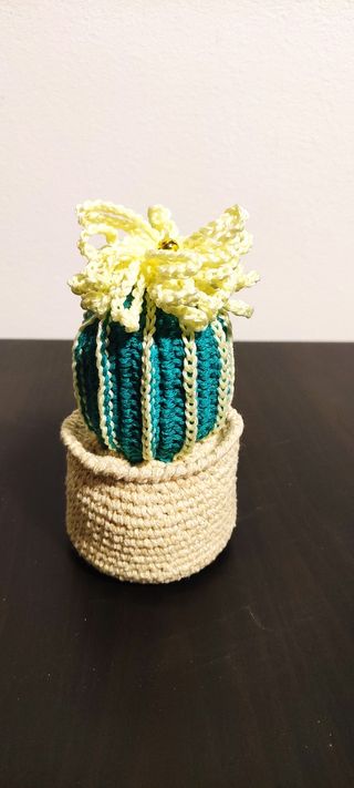 Amigurumi cactus 