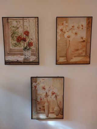 stampe floreali incorniciate