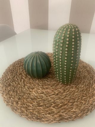 Decorazione cactus