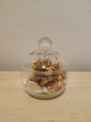 Soprammobile pianta finta in contenitore di vetro