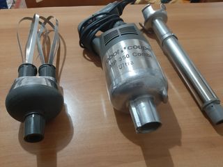 Frullatore ad immersione professionale