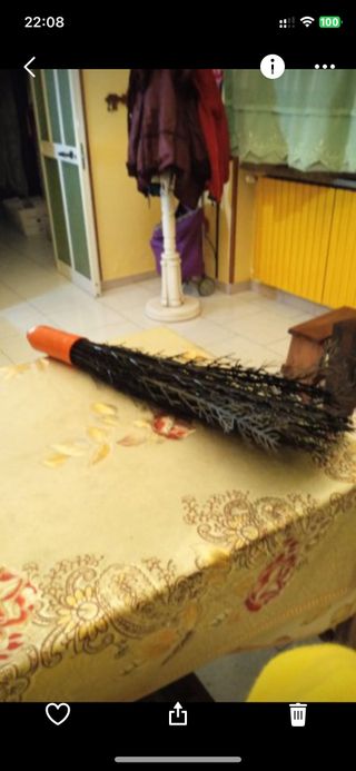 Scopa industriale per giardini e strade 