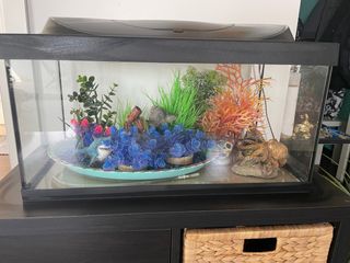 Acquario Tetra con illuminazione a led 54L