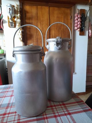 Coppia contenitori latte 