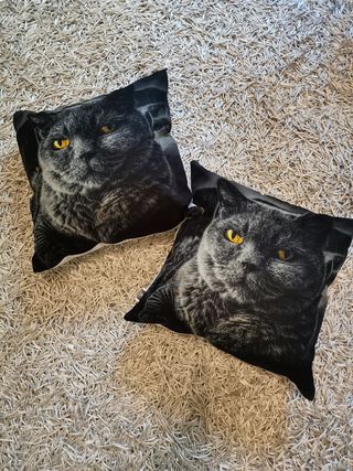 Cuscini nuovi 40 x 40, sfoderabili