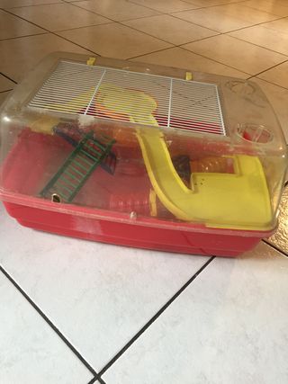 Gabbietta roditori con scalette casetta ecc