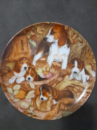 piatto decorativo