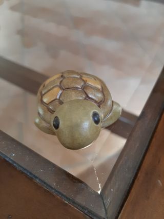 Thun animali marini