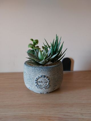 vaso piante finte