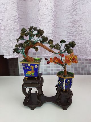 miniature vasetti bonsai cinese
