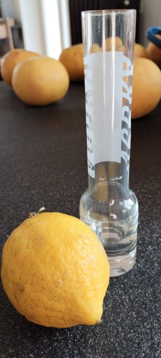 4 bicchieri per vodka