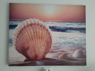 Quadro stampato conchiglia 100*80