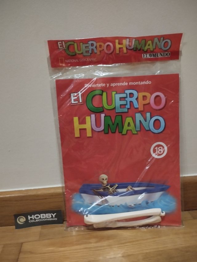 Fascículo N°18 de El Cuerpo Humano RBA de segunda mano por 4 EUR en ...