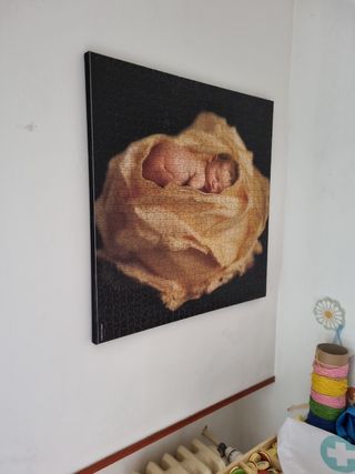 puzzle quadro anne geddes