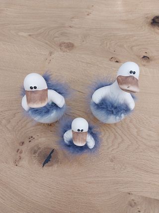 famiglia di paperelle