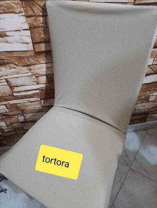 6 vestisedia tortora