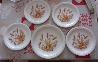 set 4 piatti piani grandi più piatto portata