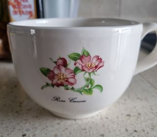 tazza grande del 1991 santucci deruta 