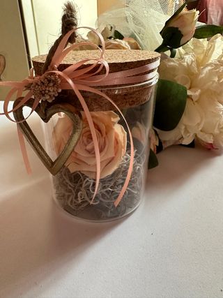 Rosa in vaso