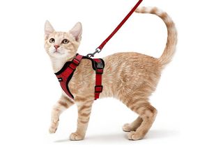 PETTORINA+GUINZAGLIO PER GATTO TAGLIA XS