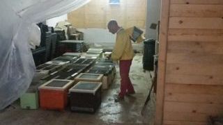 Attreazzature allevamento api,gestione laboratorio