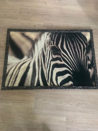 Quadro zebra 