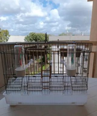 Gabbia per Pappagalli 