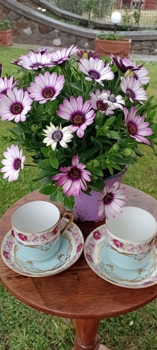 COPPIA TAZZE LIMOGES 