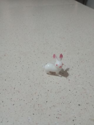 coniglietto 