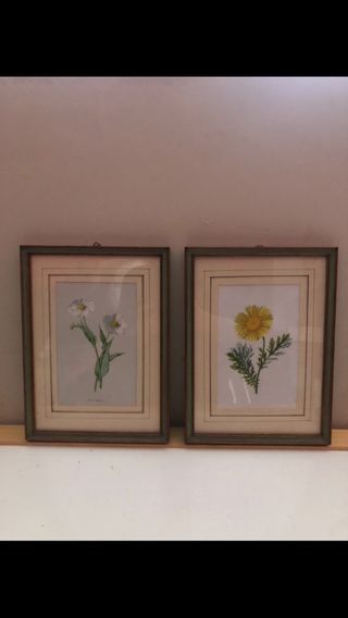 Set 2 quadri Vintage 33