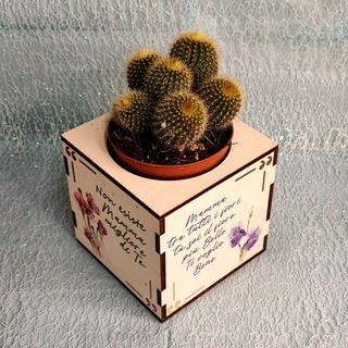 porta vaso/porta pennecon piantina