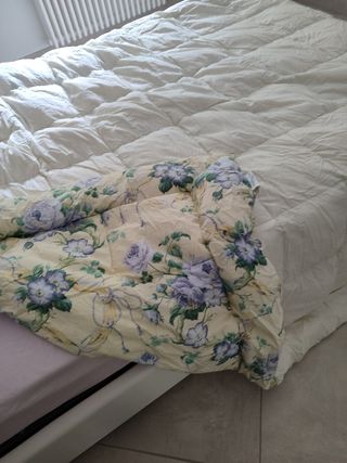 Piumone matrimoniale in piuma d'oca 